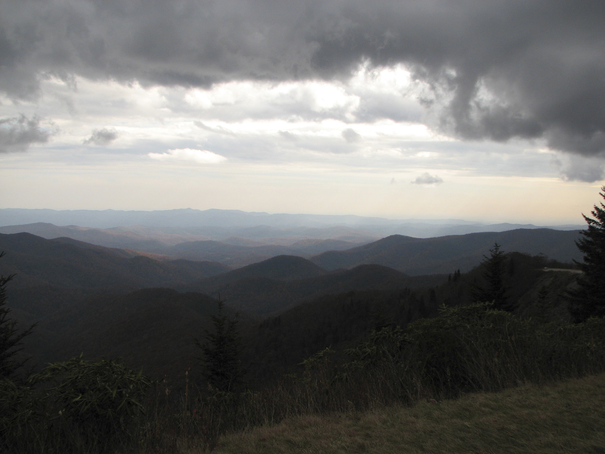 Bad Freedom – becoming flame